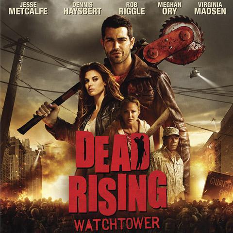 Vancouver Film School | Intro to Visual Art + Graphic Design | VFS